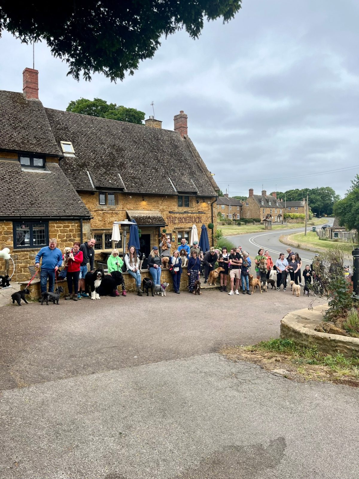 Community Group Dog Walks - Tails On The Trails